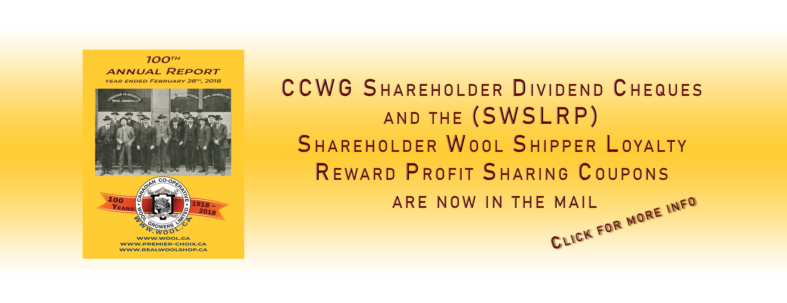 Rideau Arcott Sheep | Canadian Co-operative Wool Growers Limited